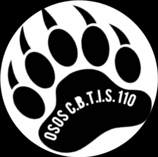Liga de Basquetbol de Durango